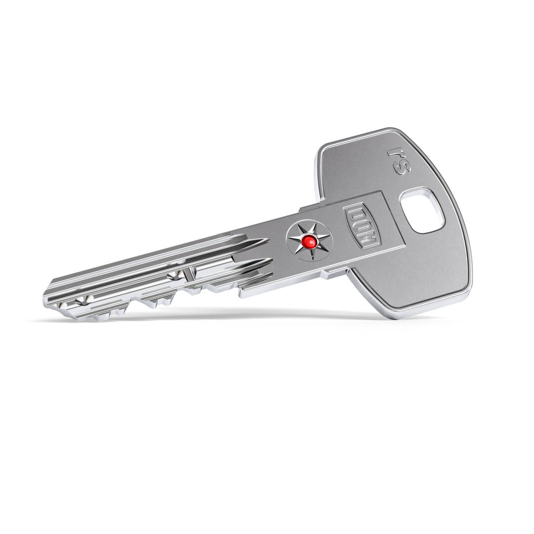 DOM rs Sirius® Padlock Grade 5 Padlock - Conventional Key Systems - DOM ...