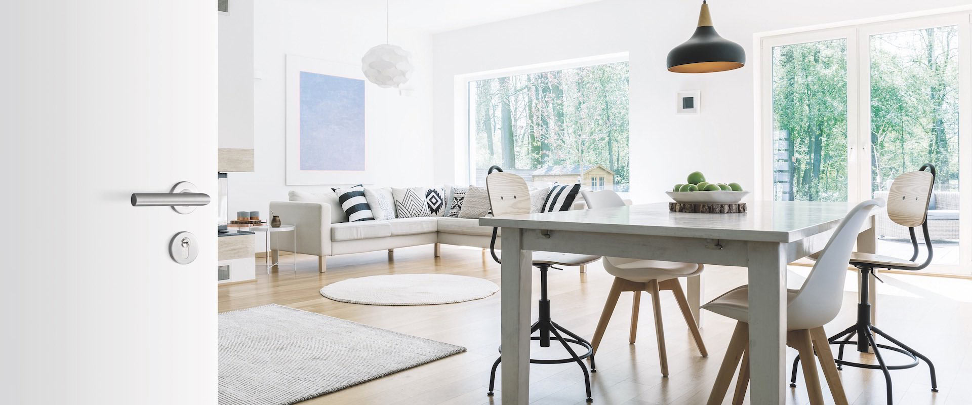 Euro Cylinder DOM ix Teco | Easy Access to Superior Security