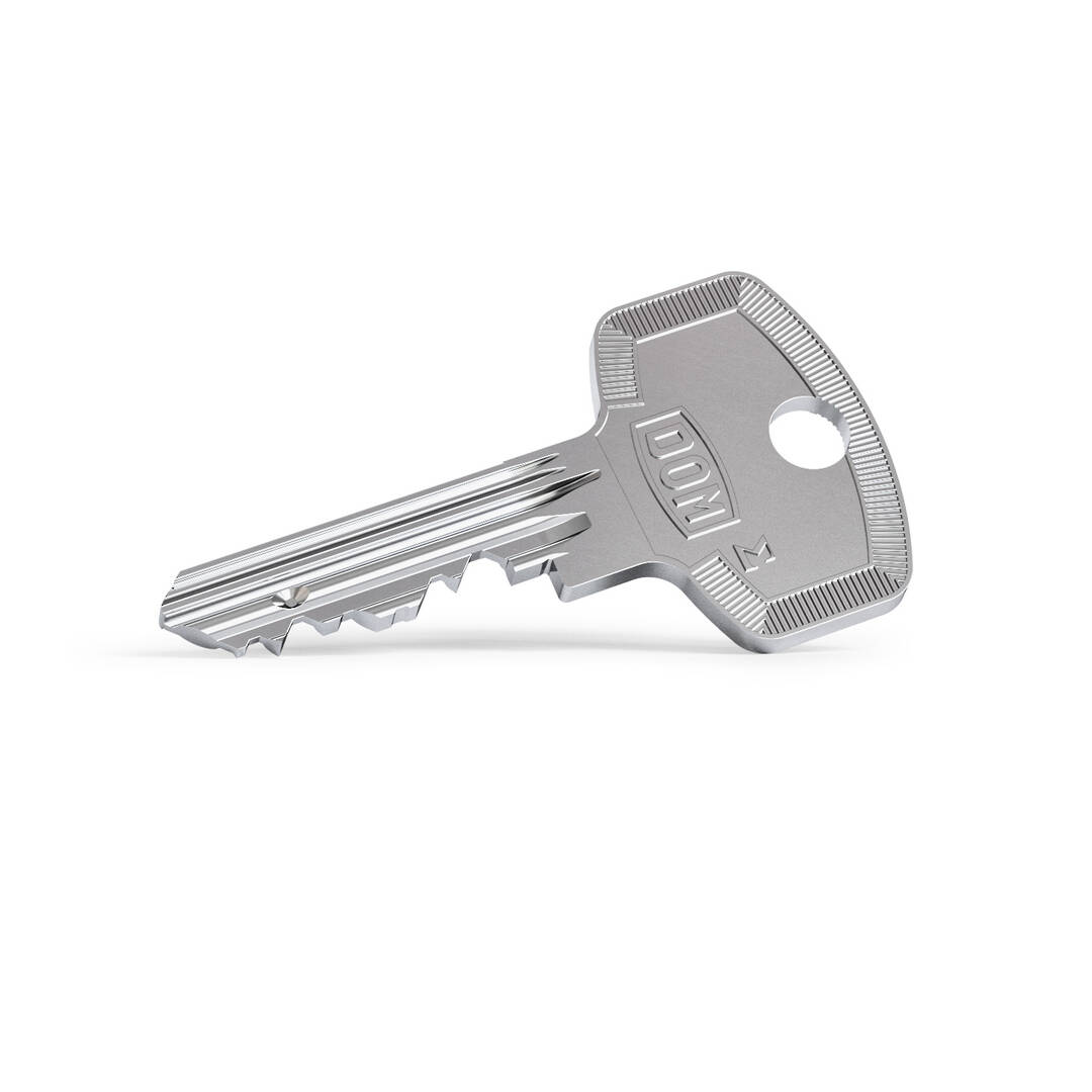 DOM rs Sigma Plus Cylinder | Budget Security Lock | DOM UK ...