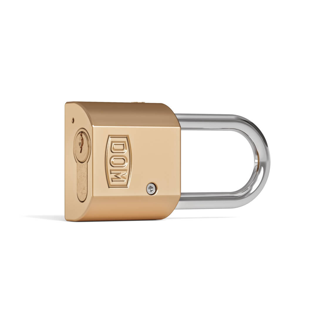 RONIS ELX55 - Access Locks - DOM-UK Ltd