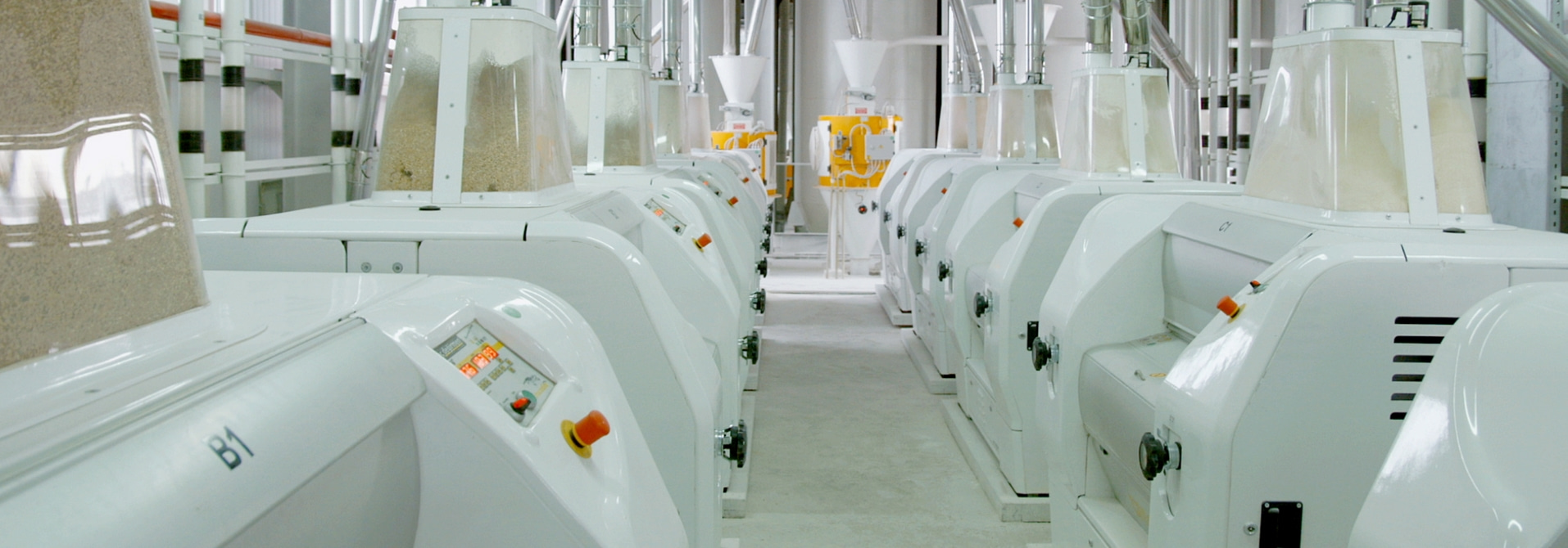 Production Area Cleaning in the Food Industry - Delta NEU UK